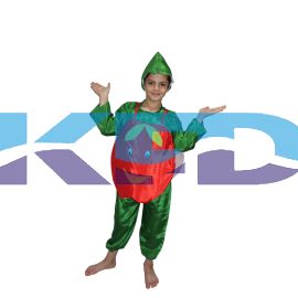 Apple fancy dress for kids,Fruits Costume for School Annual function ...
