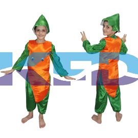 Carrot fancy dress for kids,Fruits Costume for School Annual function ...