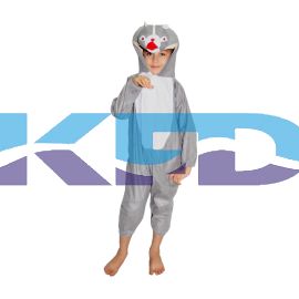 Squirrel Fancy Dress Costume for Kids